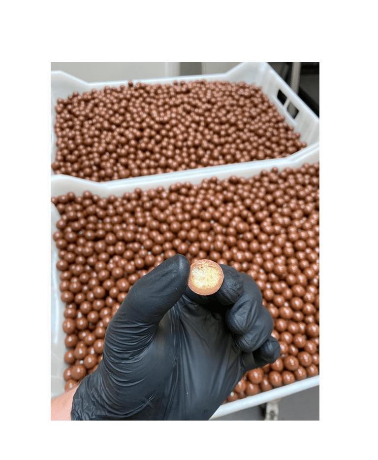 COATING TURBINES - Savy Goiseau